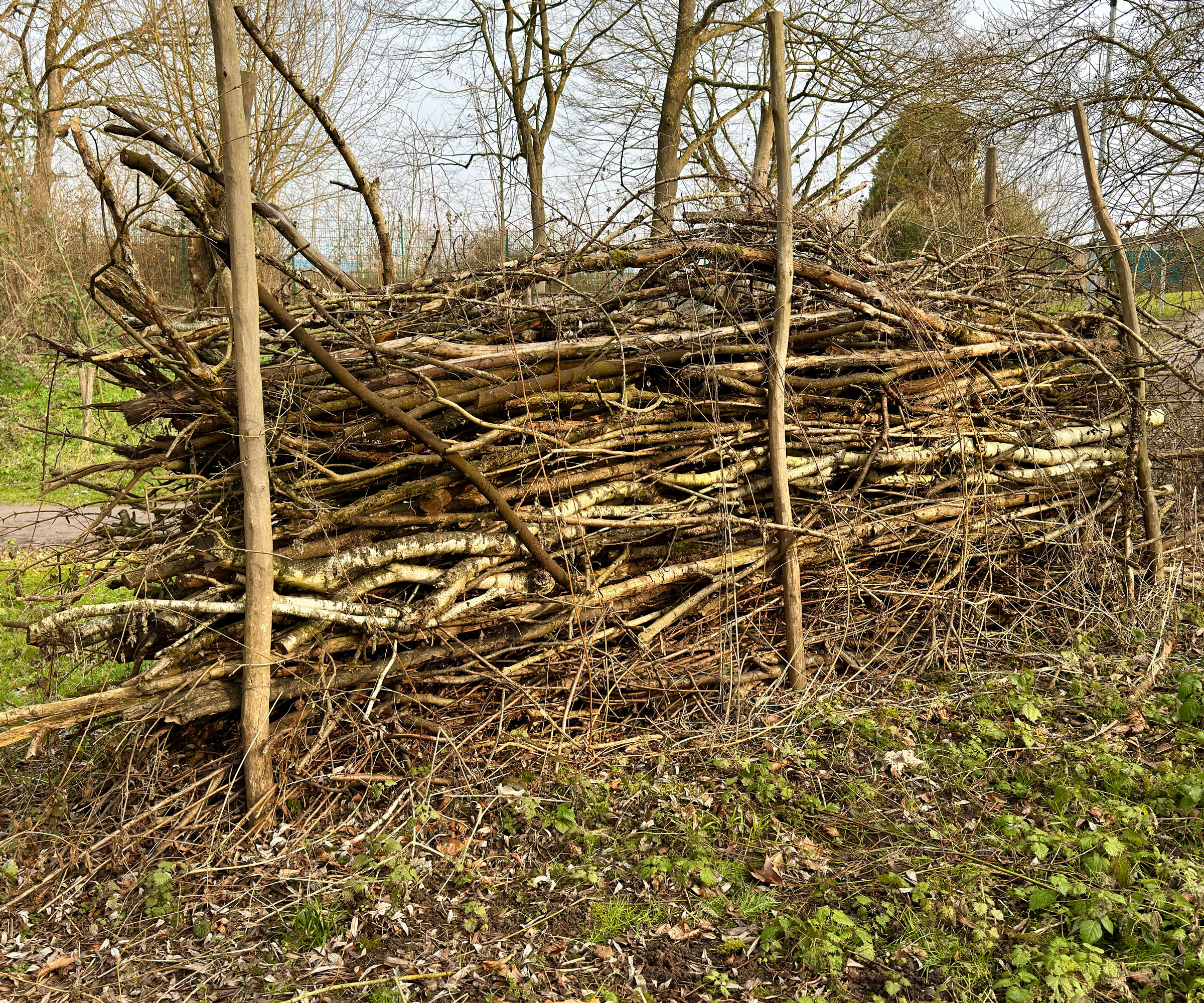 How to turn your Christmas tree Into a wildlife habitat – craft your castle